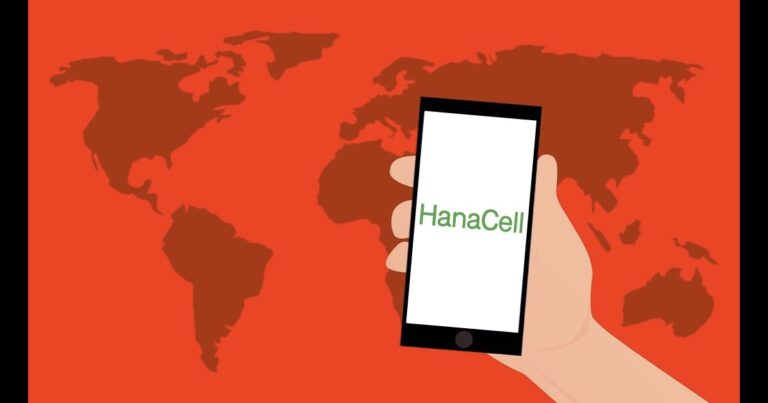 [一時帰国] HanacellのジャパンSIMカードを使うメリット・デメリットは? | さとたす